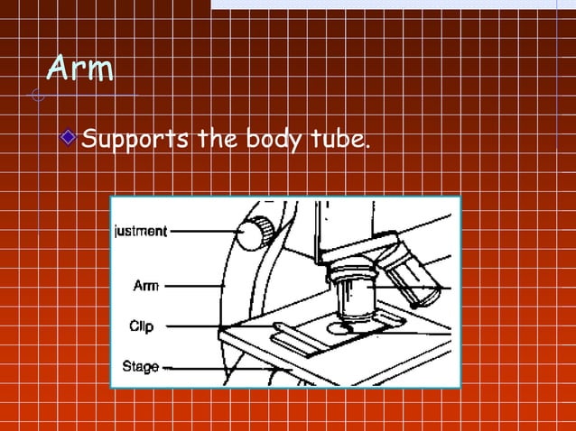 Laboratory lecture on microscope use.ppt