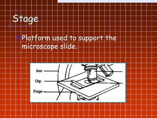 Laboratory lecture on microscope use.ppt