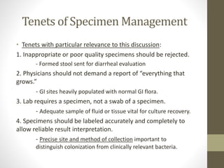 Laboratory%20 diagnosis%20of%20gi%20and%20intra abdominal%20infections ...
