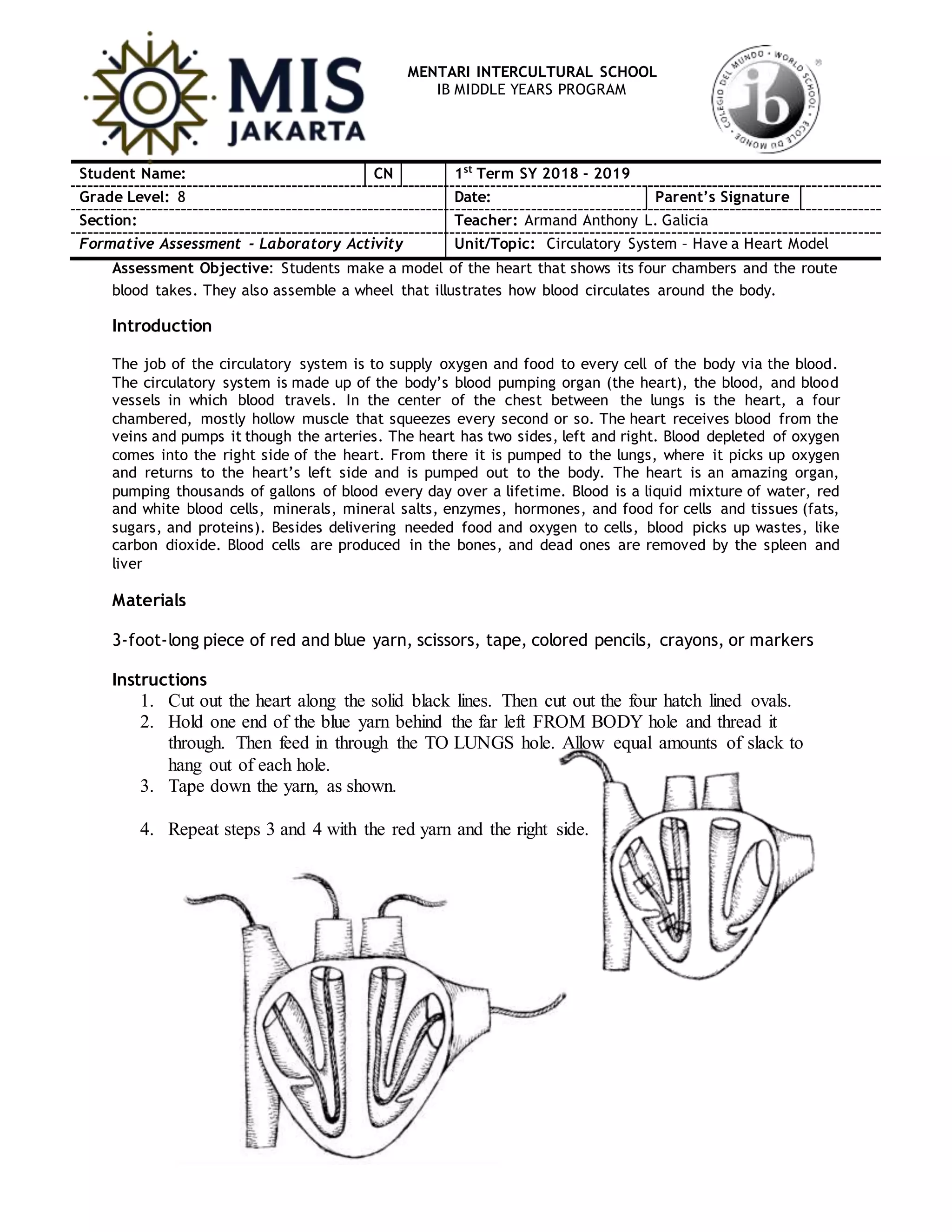 Laboratory activity circulatory system - have a heart model | DOCX