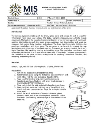 Laboratory activity nervous system - brain hat | DOCX
