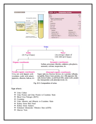 Laboratory and diagnostic examination(urine analysis) | DOCX