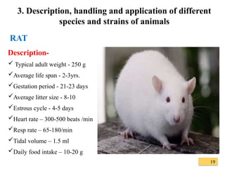 Laboratory animals used for conduct of biological research | PPTX