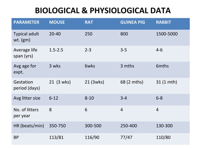 Laboratory Animals | PPT | Genetics | Science