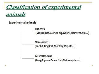 Laboratory Animals | PPT