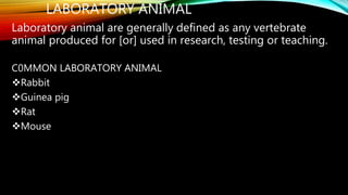 LABORATORY ANIMALS | PPTX