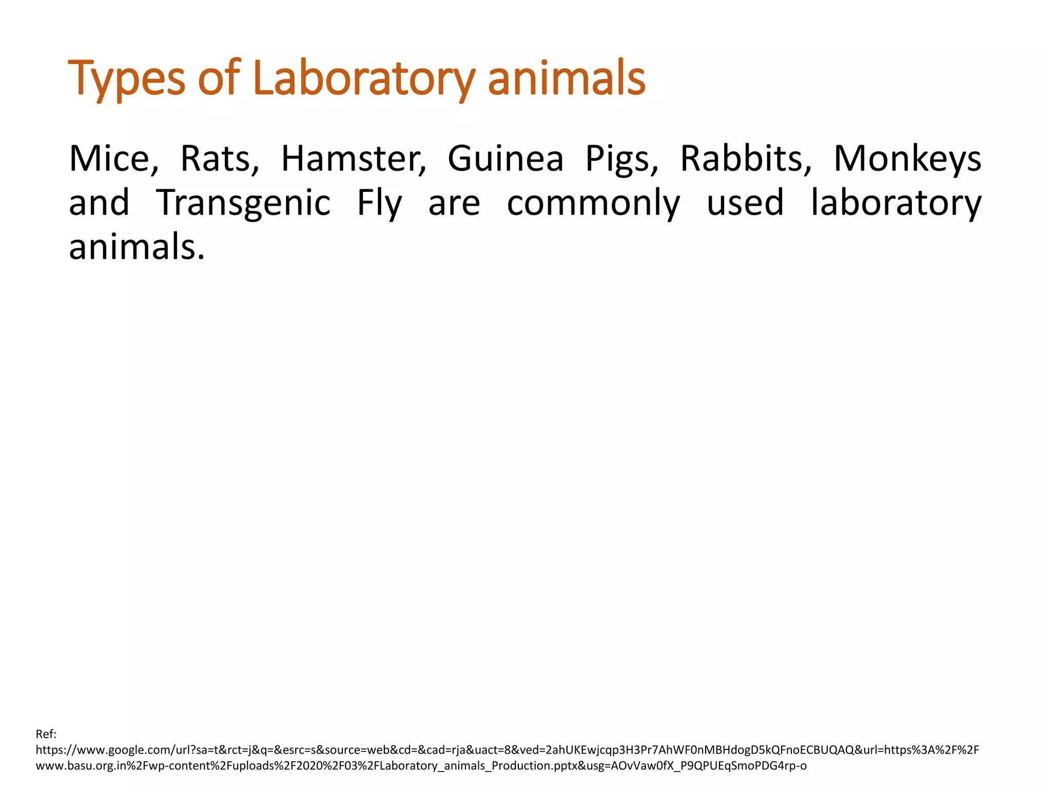 Laboratory animals | PPTX
