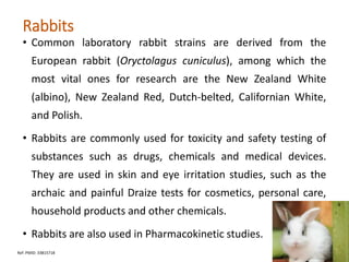 Laboratory animals | PPTX