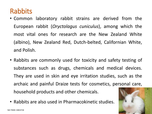 Laboratory animals | PPTX | Biological Sciences | Science