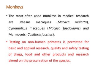Laboratory animals | PPTX