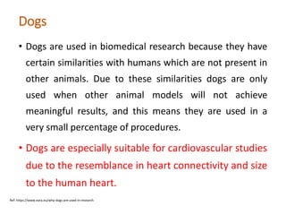 Laboratory animals | PPTX