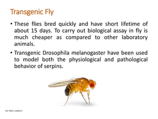 Laboratory animals | PPTX