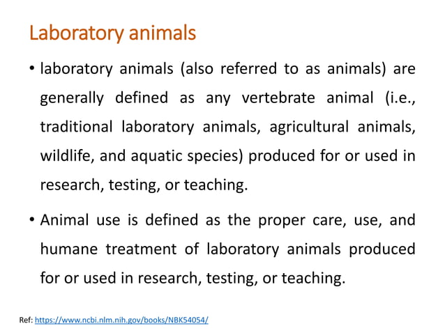 Laboratory animals | PPTX | Biological Sciences | Science