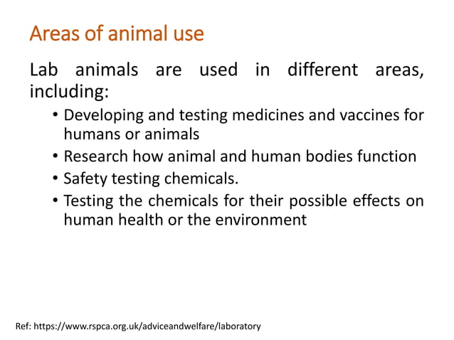 Laboratory animals | PPTX | Biological Sciences | Science