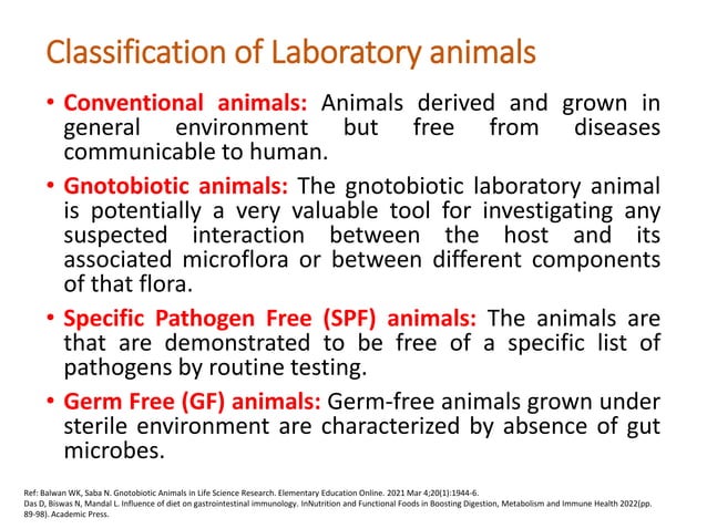 Laboratory animals | PPTX | Biological Sciences | Science