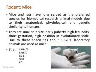 Laboratory animals | PPTX