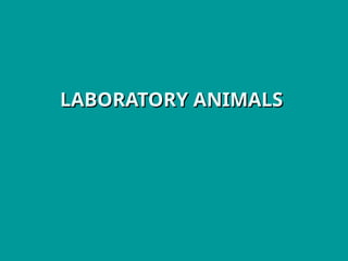 LABORATORY ANIMALS AND PHARMACOLOGYY.ppt