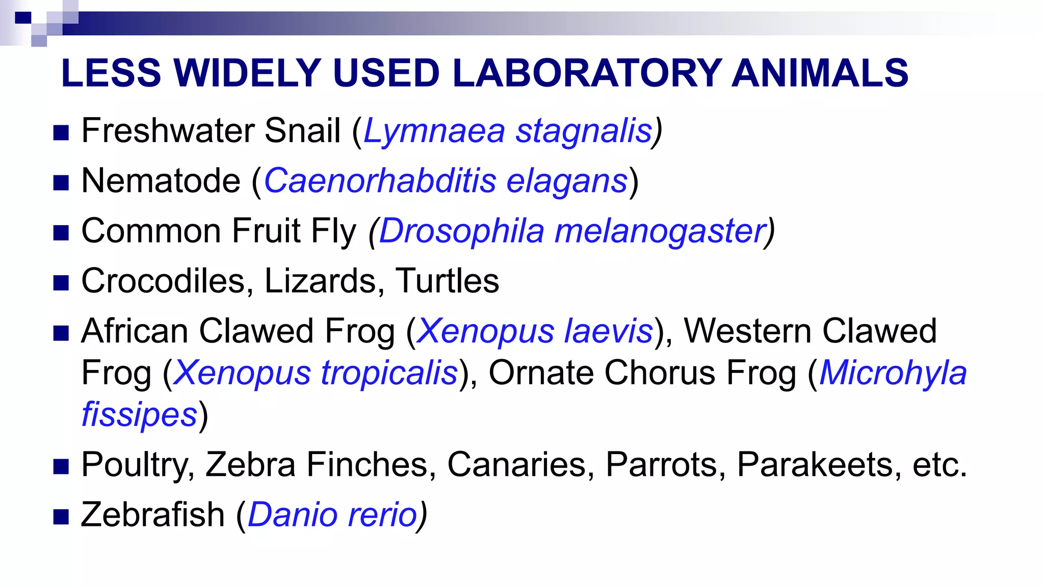 Laboratory Animals - Taxonomic Classification | PPTX