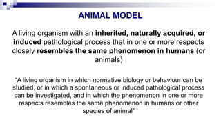 Laboratory Animals - Taxonomic Classification | PPTX