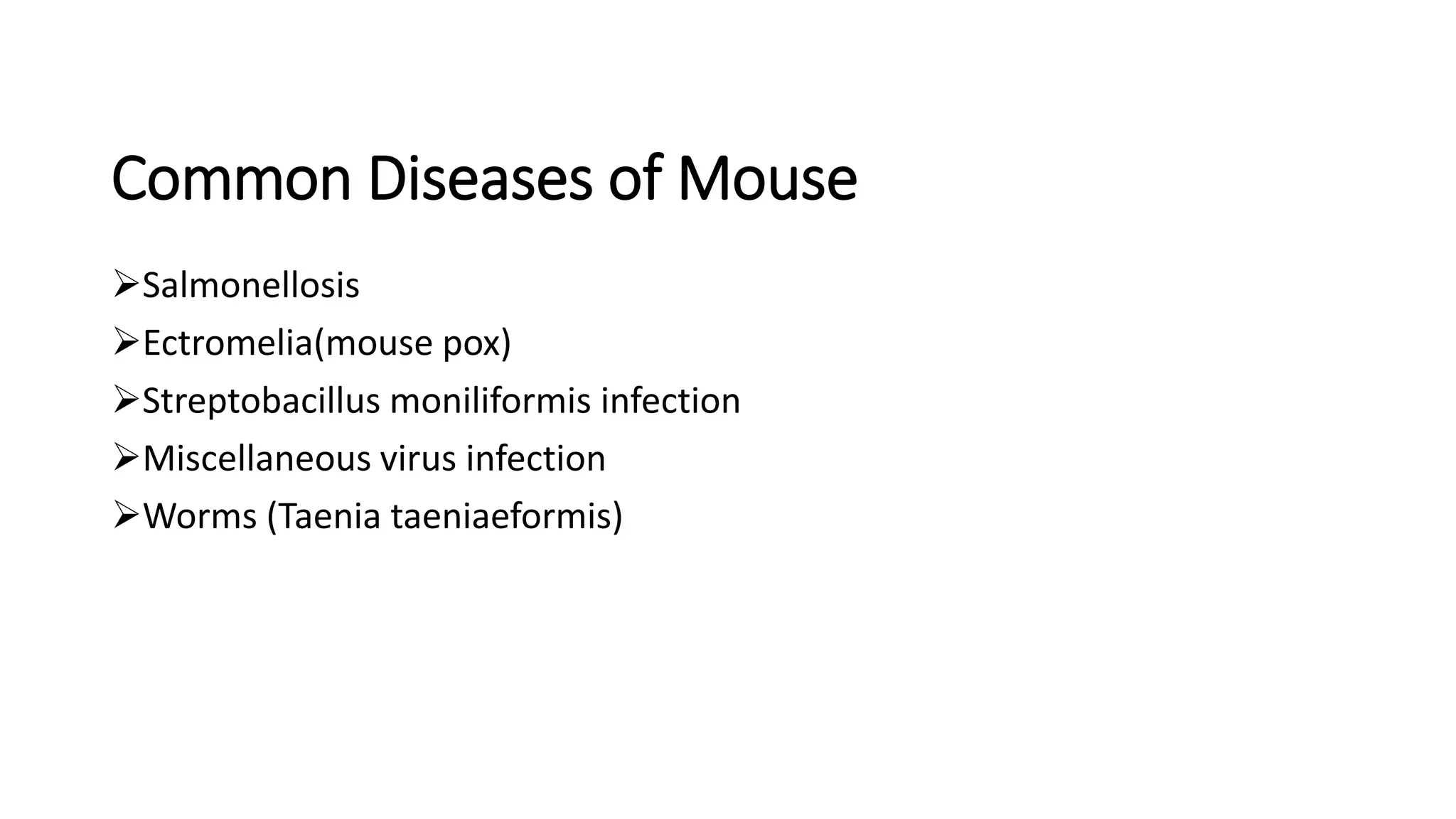 laboratory animals handling and storage.pptx