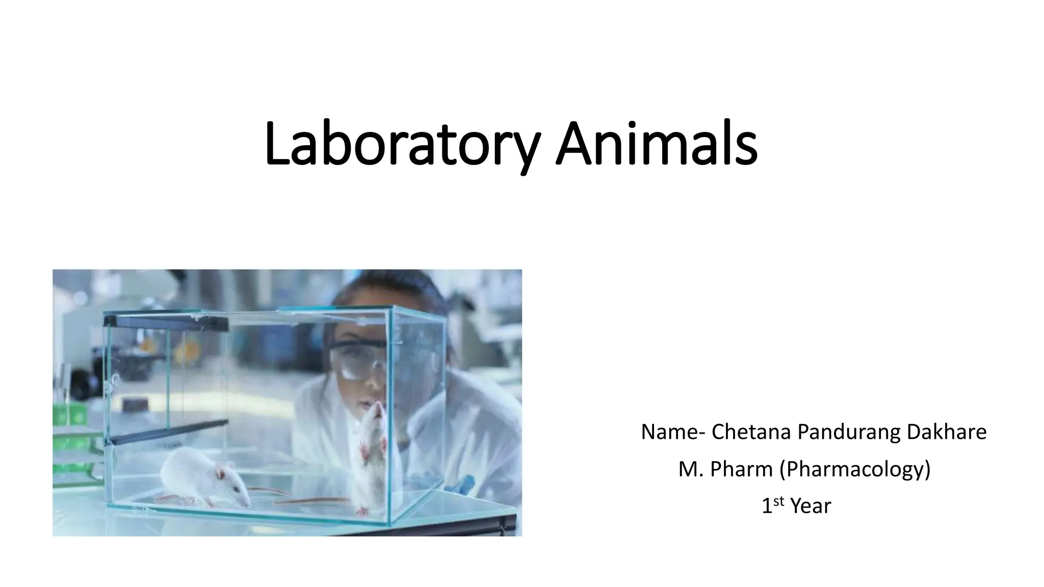 laboratory animals handling and storage.pptx