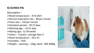 laboratory animals handling and storage.pptx