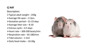 laboratory animals handling and storage.pptx