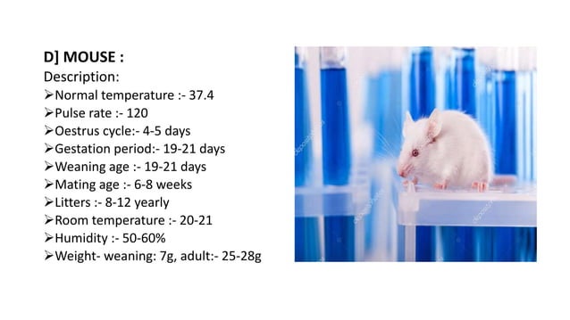 laboratory animals handling and storage.pptx
