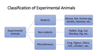 laboratory animals handling and storage.pptx