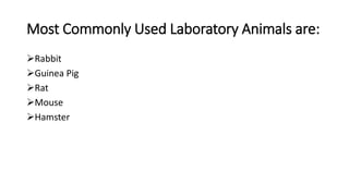 laboratory animals handling and storage.pptx