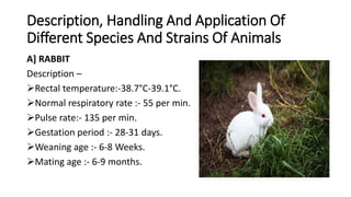 laboratory animals handling and storage.pptx