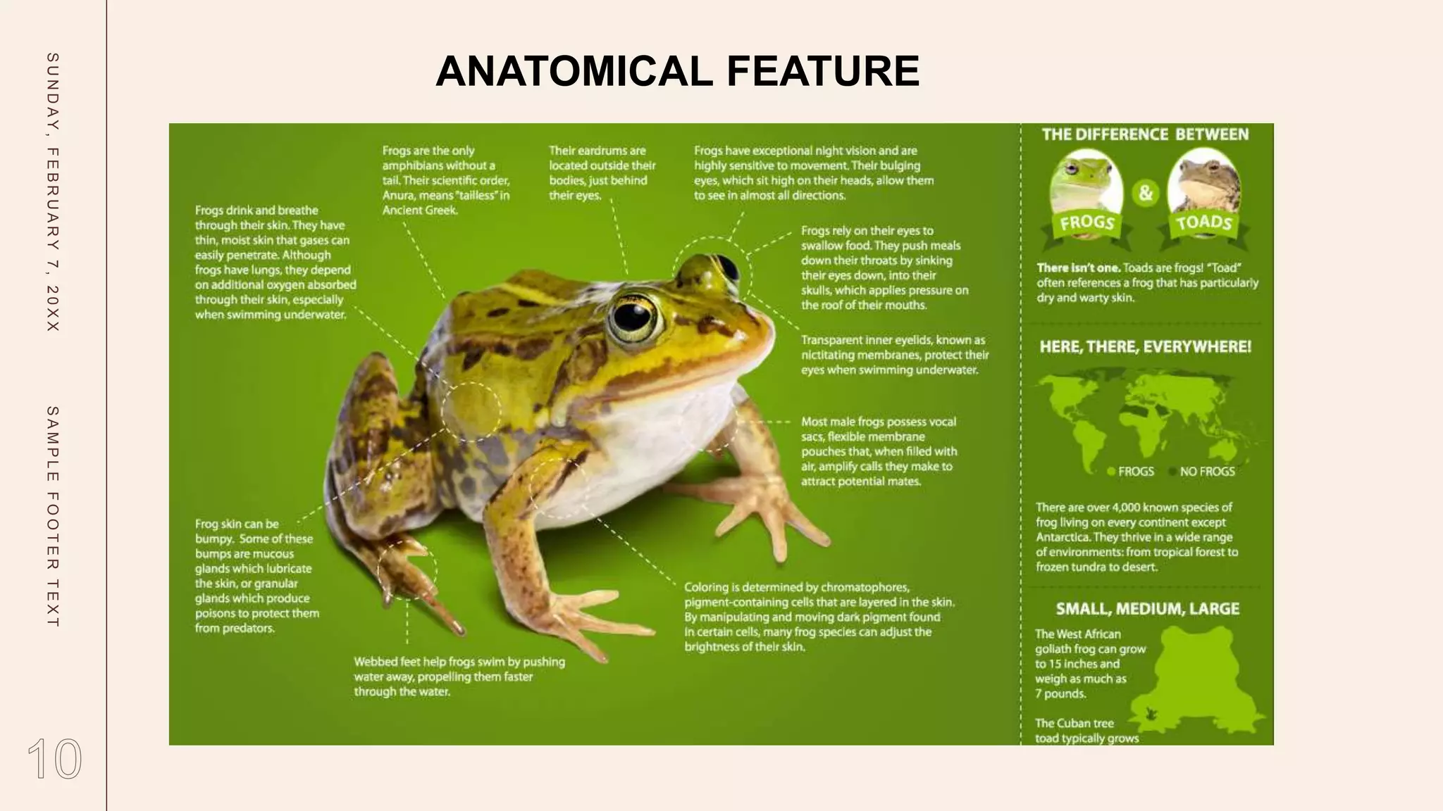 LABORATORY ANIMALS IN PHARMACOLOGICAL RESEARCH-FROG.pptx