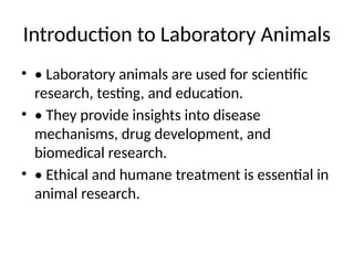 Laboratory_Animals_Presentation for exp pharmacology | PPTX
