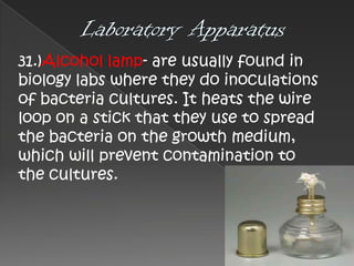 Alcohol Lamp Laboratory Apparatus