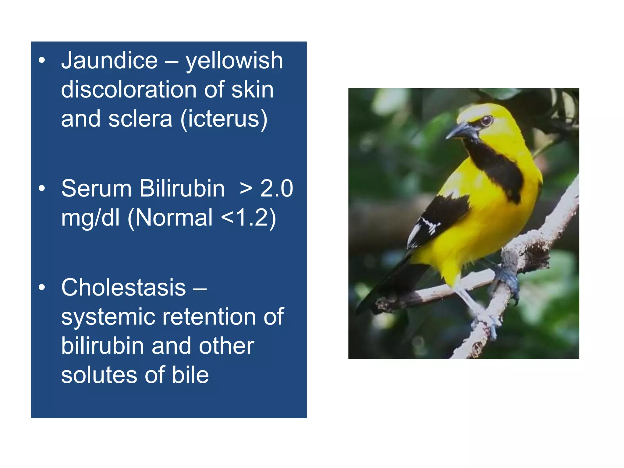 Laboratory approach to jaundice | PPTX