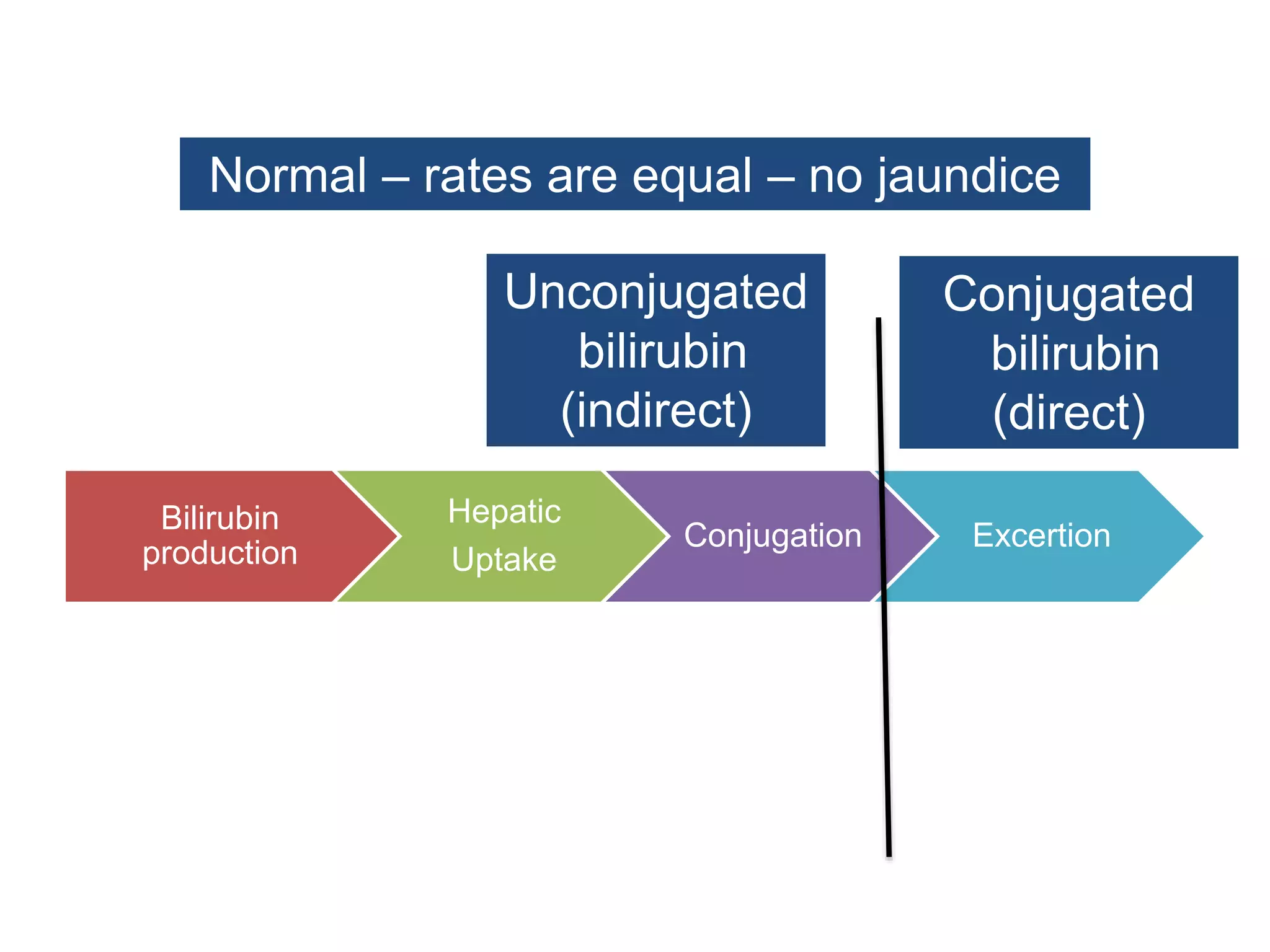 Laboratory approach to jaundice | PPTX