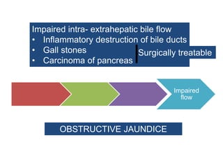 Laboratory approach to jaundice | PPTX