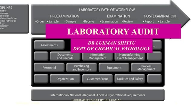 Laboratory audit ls | PDF