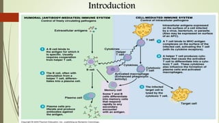 Immunodeficiency Lab. diagnosis | PPT