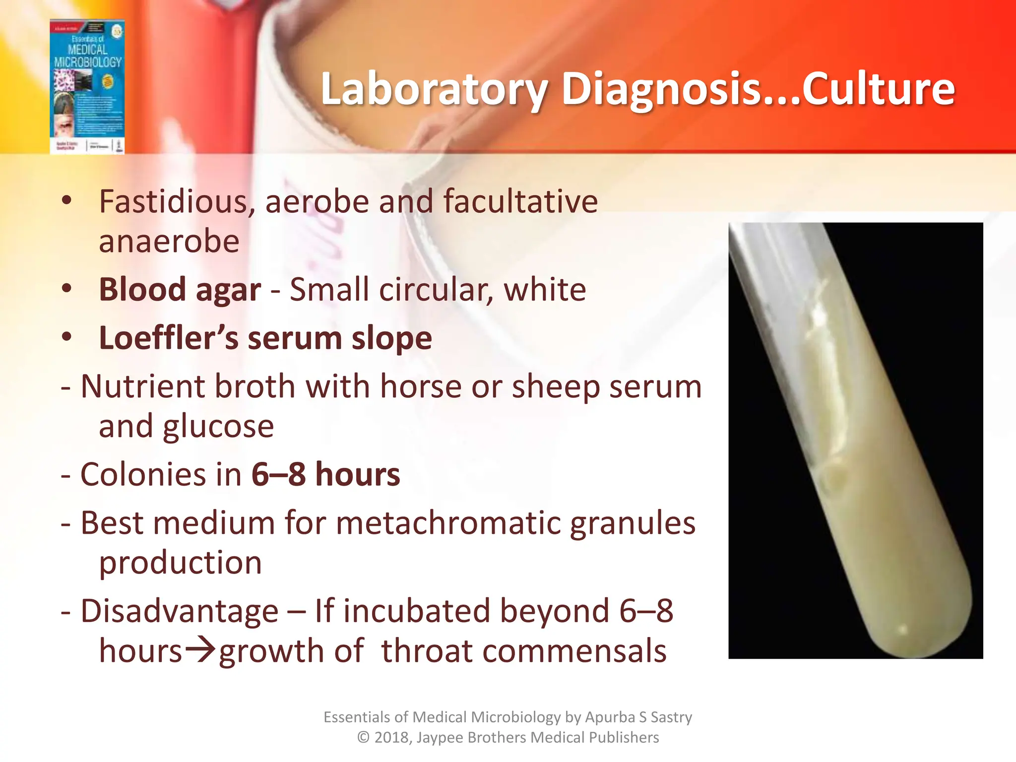 Laboratory Diagnosis.pptxvvcbcbvvvvvvvvvvvvvvvvvv | PPTX