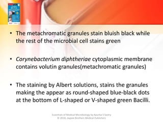 Laboratory Diagnosis.pptxvvcbcbvvvvvvvvvvvvvvvvvv | PPT