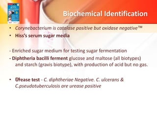 Laboratory Diagnosis.pptxvvcbcbvvvvvvvvvvvvvvvvvv | PPT