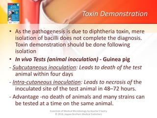 Laboratory Diagnosis.pptxvvcbcbvvvvvvvvvvvvvvvvvv | PPT