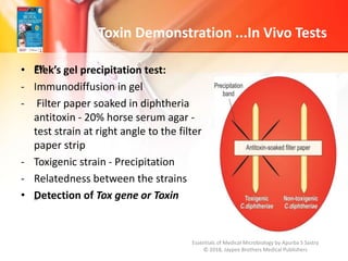 Laboratory Diagnosis.pptxvvcbcbvvvvvvvvvvvvvvvvvv | PPT
