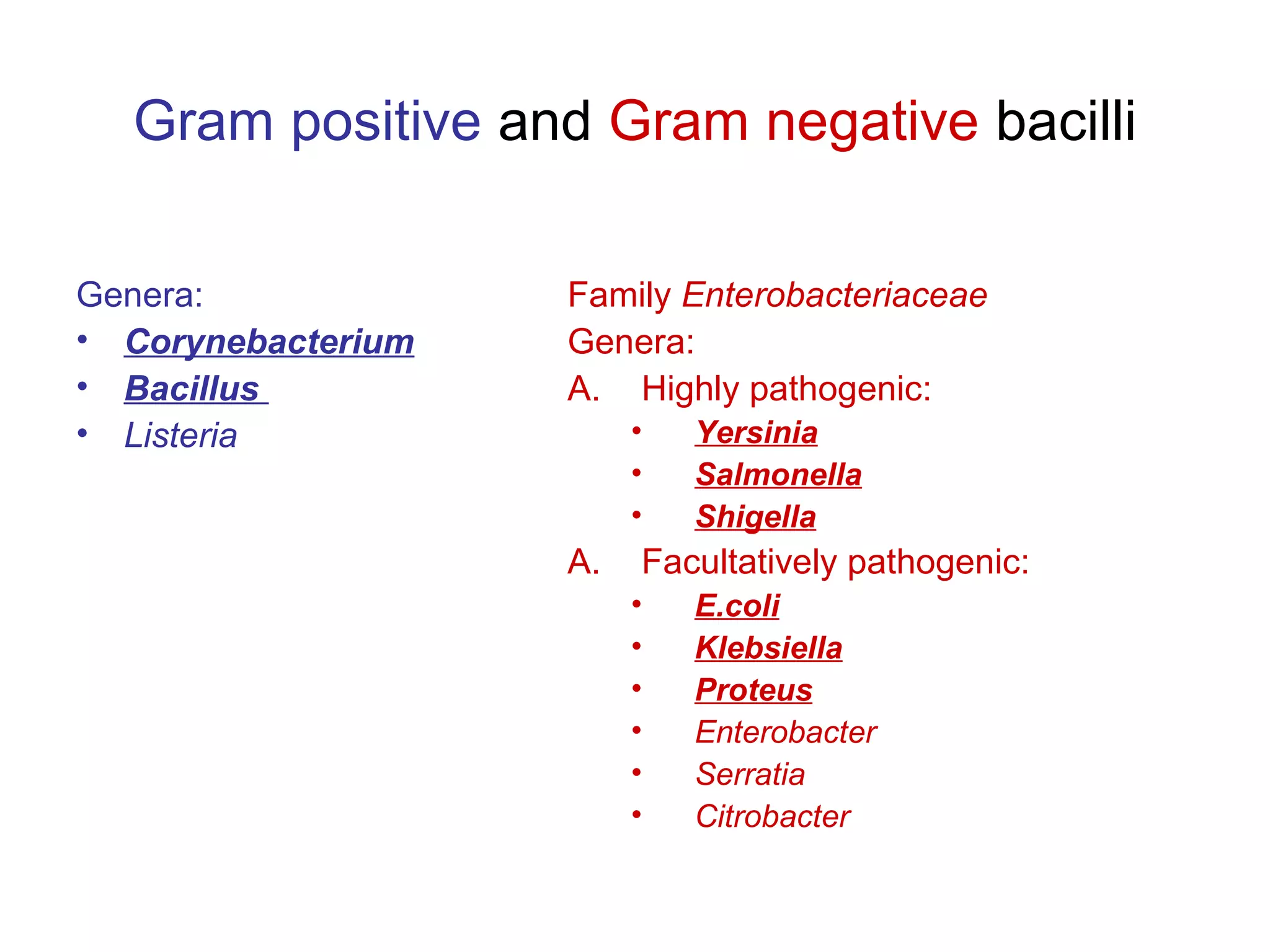 Laboratory diagnosis gram positive and gram negative bacilli | PPT