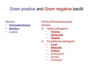 Laboratory diagnosis gram positive and gram negative bacilli | PPT