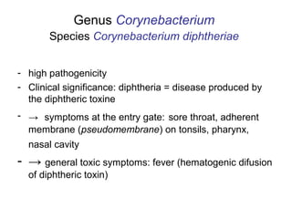 Laboratory diagnosis gram positive and gram negative bacilli | PPT