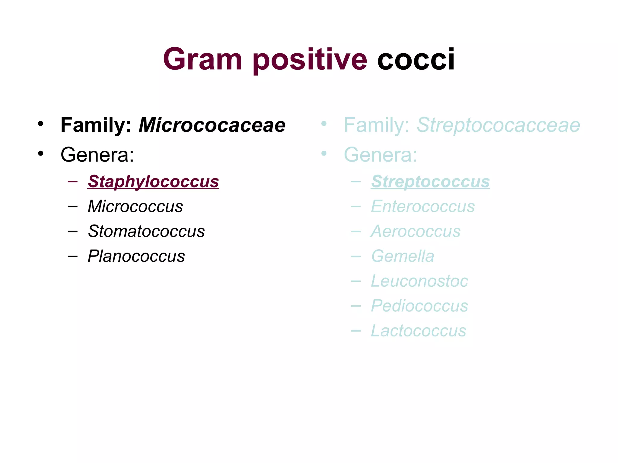 Laboratory diagnosis gram positive and gram negative cocci | PPT