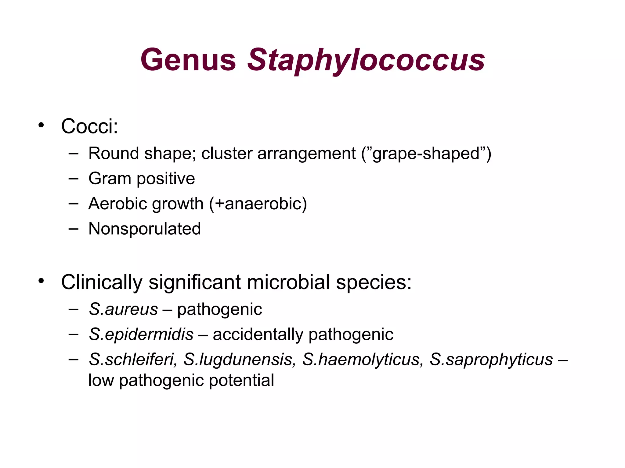 Laboratory diagnosis gram positive and gram negative cocci | PPT