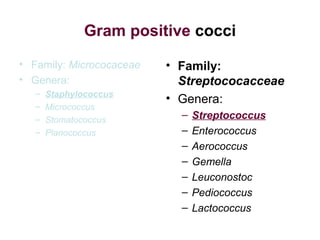 Laboratory diagnosis gram positive and gram negative cocci | PPT